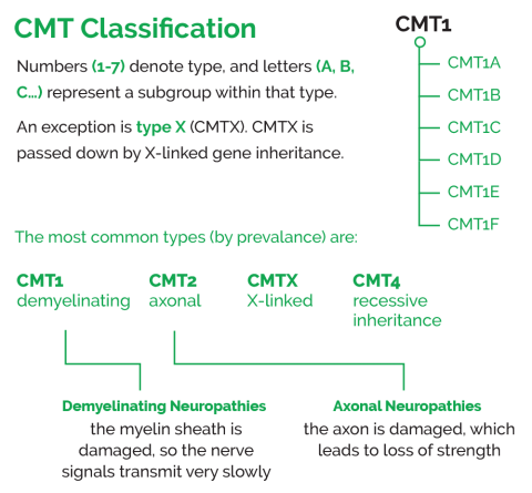 What is CMT? | CMT Research Foundation